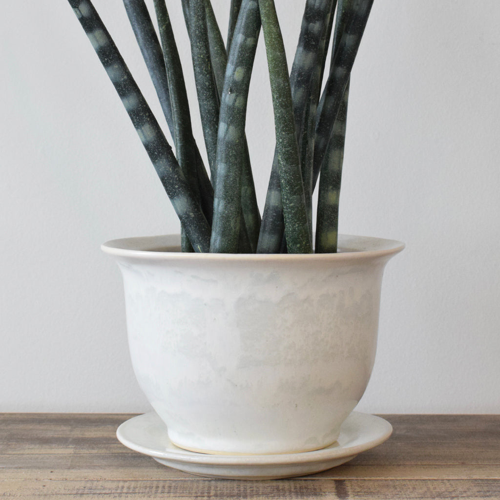 Large Cachet Pot Moonstone | Mississippi Made Gifts ...